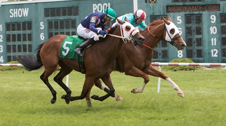 Racing's Return to Massachusetts Moves One Step Closer - BloodHorse