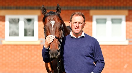 Blue Point (IRE) - Horse Profile - BloodHorse