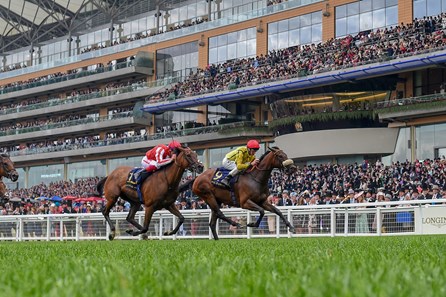 Move Swiftly (GB) - Horse Profile - BloodHorse