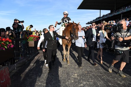 Sir Winston - Horse Profile - BloodHorse