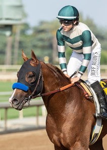 Mucho Gusto - Horse Profile - BloodHorse