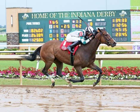 Indiana Announces Revamped 2020 Breeder Program - BloodHorse