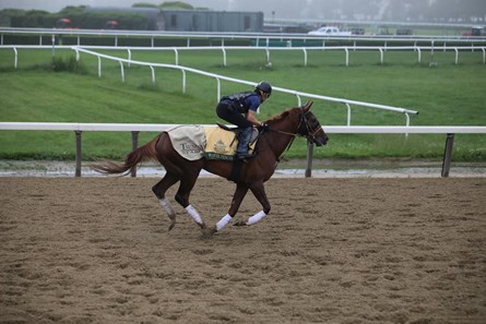 Master Fencer (JPN) - Horse Profile - BloodHorse
