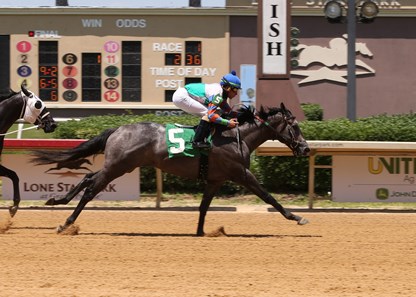 Gee She Sparkles - Horse Profile - BloodHorse