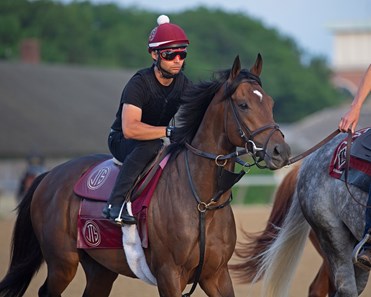 Catholic Boy - Horse Profile - BloodHorse