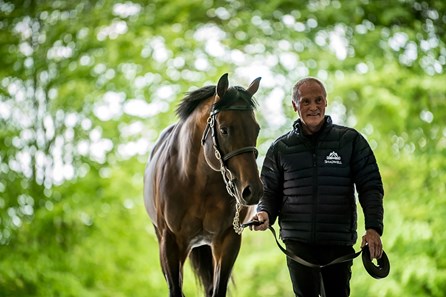 Muhaarar (GB) - Horse Profile - BloodHorse