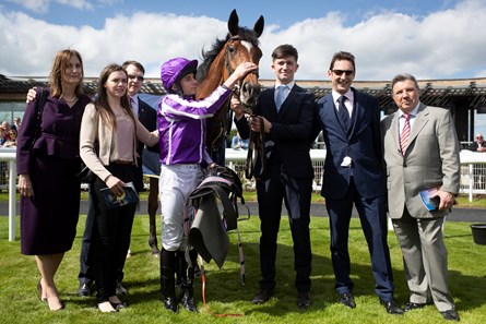 Magical (IRE) - Horse Profile - BloodHorse