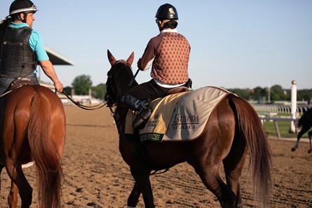 Master Fencer (JPN) - Horse Profile - BloodHorse