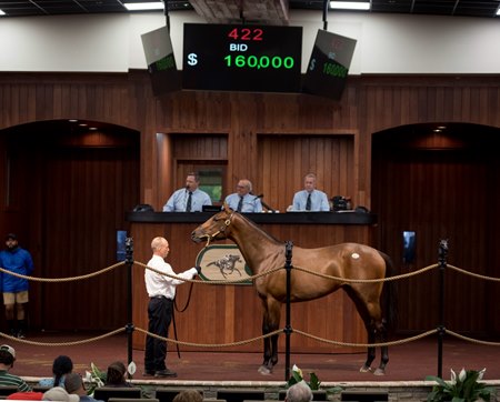 Fast Anna Filly Rewards Consignor Davies - BloodHorse