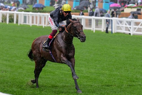 Weatherbys Reports Breeding Stats for England, Ireland - BloodHorse