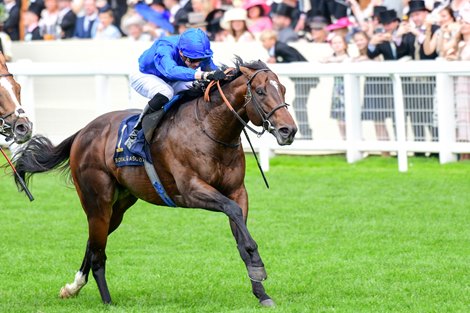 Blue Point Retired to Stud After Royal Ascot Double - BloodHorse