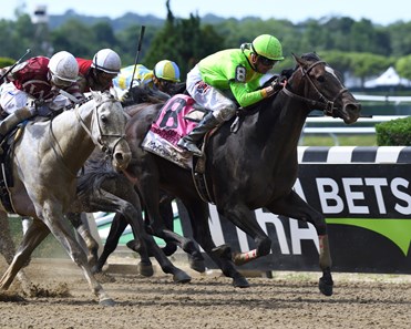 Hog Creek Hustle - Horse Profile - BloodHorse