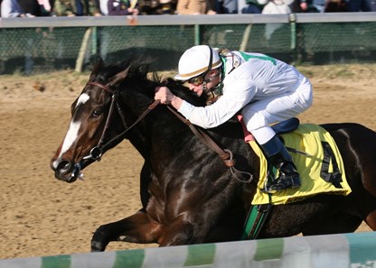Rachel Alexandra - Slideshow - BloodHorse