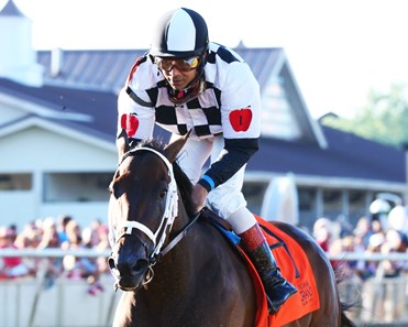 Mylady Curlin - Horse Profile - BloodHorse