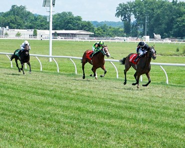 Hey Adrian - Horse Profile - BloodHorse