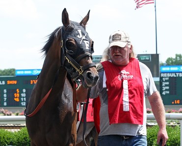 Hey Adrian - Horse Profile - BloodHorse
