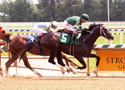 Honor Code - Horse Profile - BloodHorse