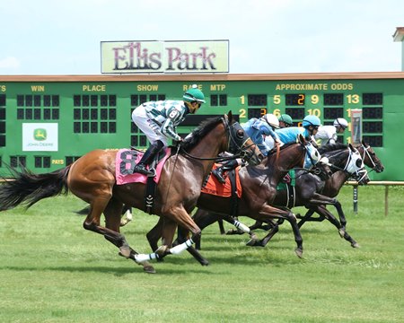 Limited Attendance Authorized for Ellis Park Meet - BloodHorse