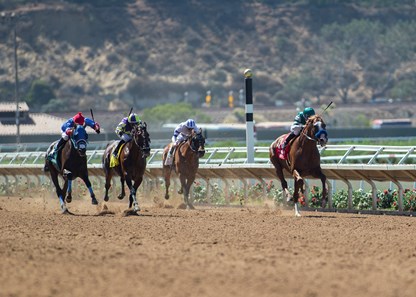 Catalina Cruiser - Horse Profile - BloodHorse