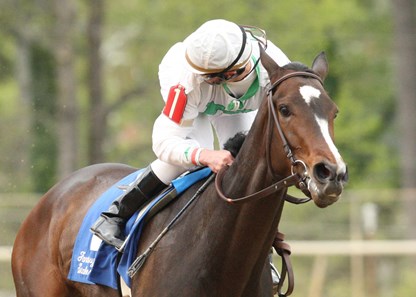 Rachel Alexandra - Horse Profile - BloodHorse