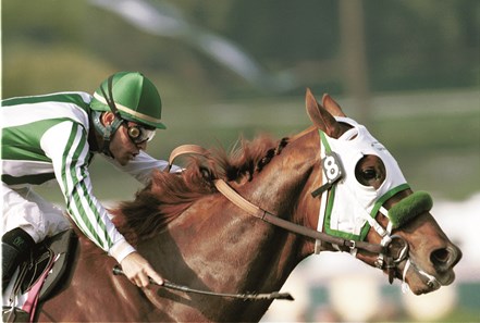 Point Given - Horse Profile - BloodHorse