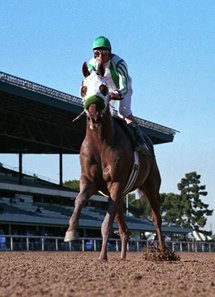 Family Matters: Point Given's Pedigree Analysis - BloodHorse