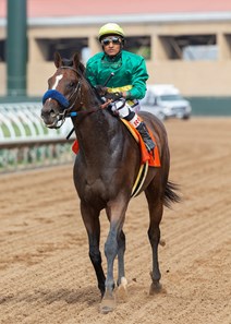 Campaign - Horse Profile - BloodHorse