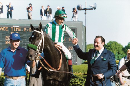 Point Given - Horse Profile - BloodHorse