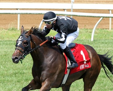 Hey Adrian - Horse Profile - BloodHorse