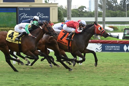 Stirling Drive - Horse Profile - BloodHorse