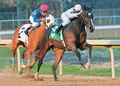 Rachel Alexandra - Slideshow - BloodHorse