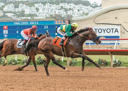 Campaign - Horse Profile - BloodHorse