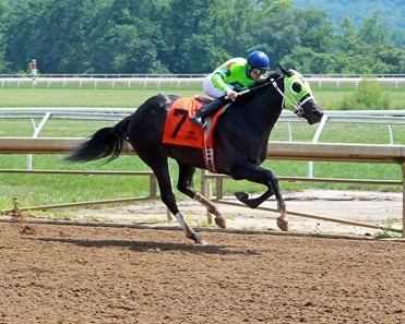 Totally Obsessed - Horse Profile - BloodHorse