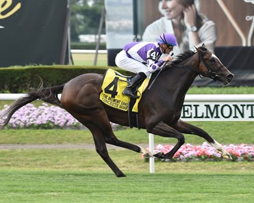 Concrete Rose - Horse Profile - BloodHorse