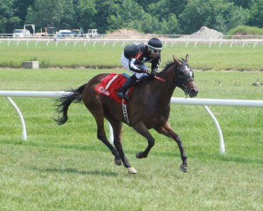 Hey Adrian - Horse Profile - BloodHorse