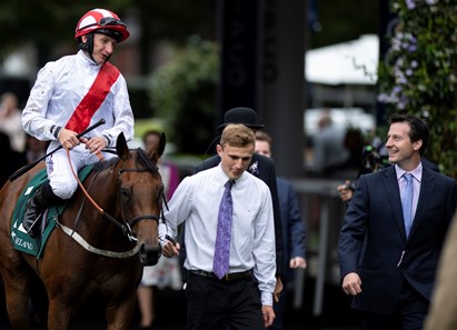 Under The Stars (IRE) - Horse Profile - BloodHorse