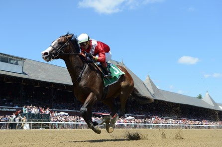 Constitution - Horse Profile - BloodHorse