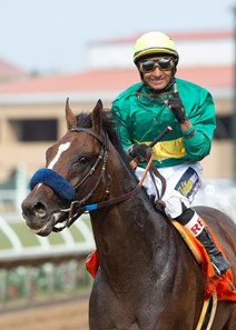 Campaign - Horse Profile - BloodHorse