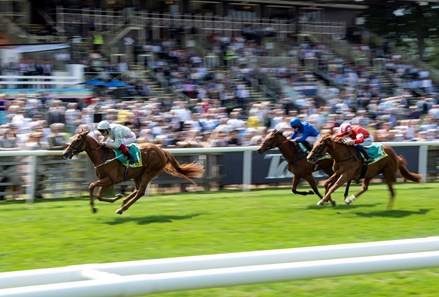 Raffle Prize (IRE) - Horse Profile - BloodHorse