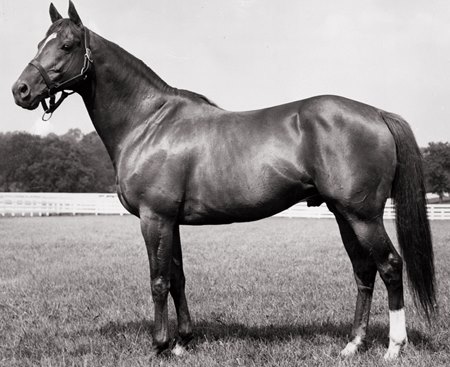 BackTrack: Whirlaway Stars in American Derby - BloodHorse