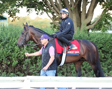 Robert Bruce (CHI) - Horse Profile - BloodHorse