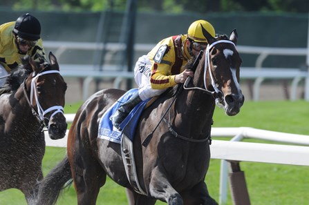 Rachel Alexandra - Slideshow - BloodHorse