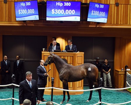 Runhappy Filly Brings $300,000 at New York-Bred Sale - BloodHorse