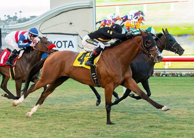 Equibase | Horse Racing | Horse Racing Entries | Horse Racing Results ...