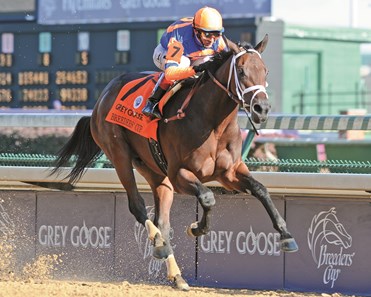 Uncle Mo - Horse Profile - BloodHorse