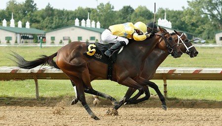 Mylady Curlin - Horse Profile - BloodHorse