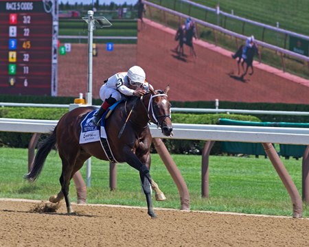 Mitole Sets Forego Stakes Record - BloodHorse