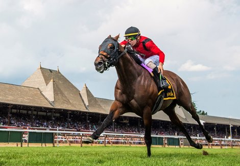 Leinster Thrives in Track-Record Troy - BloodHorse