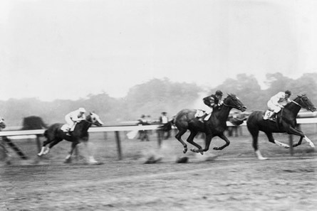 Man o' War - Horse Profile - BloodHorse