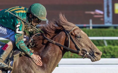 Travers Day 2019 Sets Record All-Sources Handle - BloodHorse